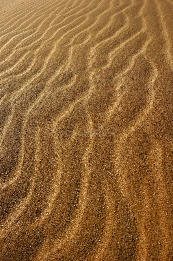 Desert sand stock image. Image of freedom, environment - 9073717