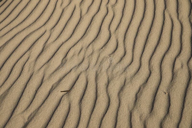 Desert sand background stock image. Image of landscape - 330988373