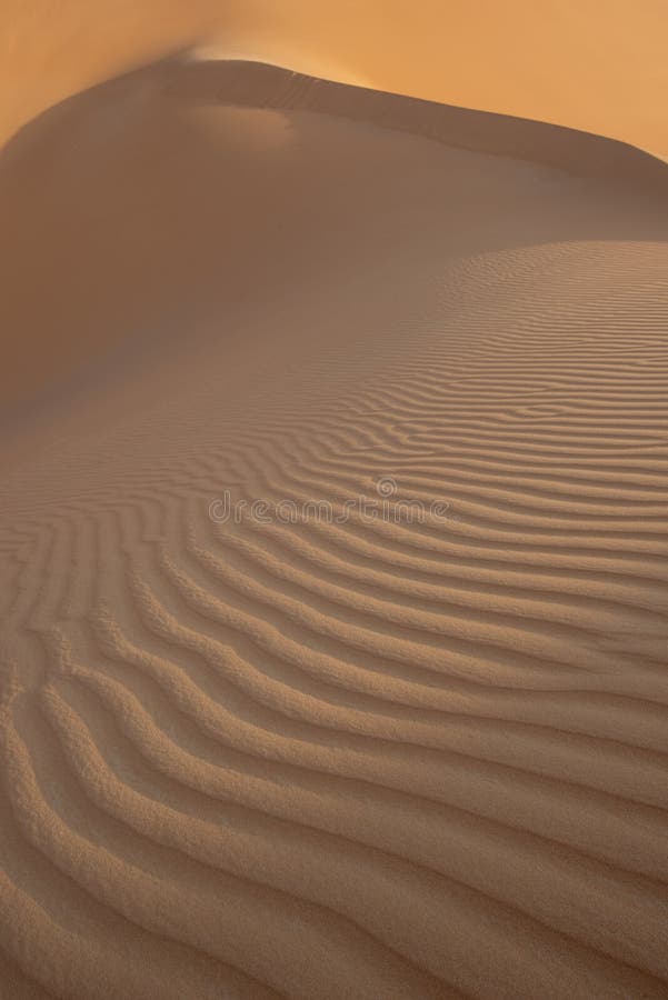 Empty Quarter Desert stock photo. Image of dune, wave - 184579156