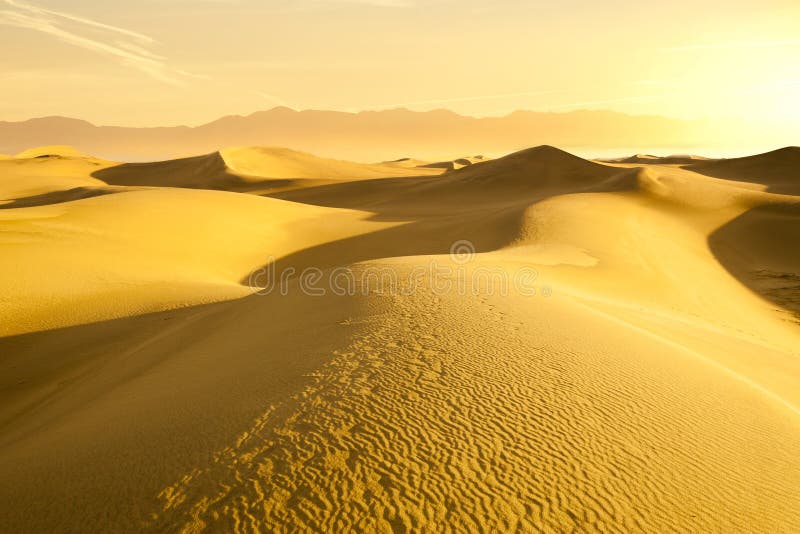Desert Sand Dunes with Golden Light Stock Image - Image of morocco ...