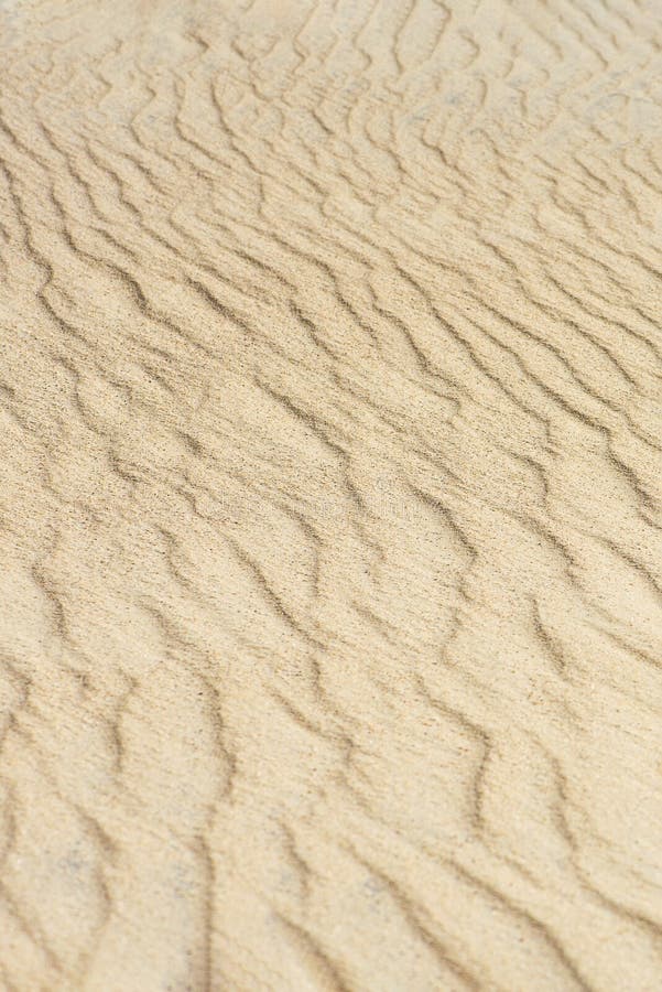 Desert Sand Dunes Texture. Waves on the Yellow Sands of the Desert ...