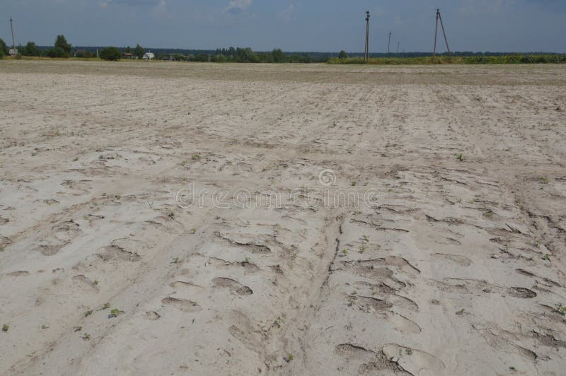 Desert Sand Field after Harvest Stock Image - Image of sand, outdoor ...