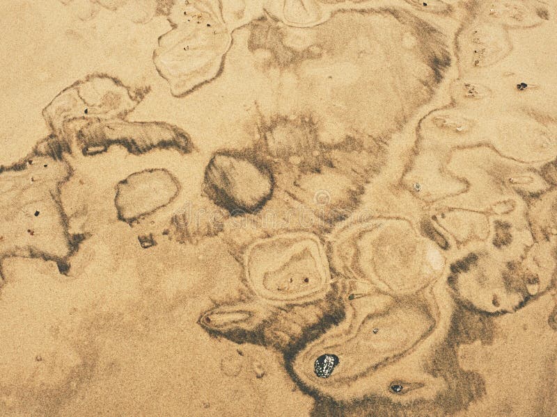 Desert Sand with Shapes from Crushed Shells and Sediments Stock Image ...