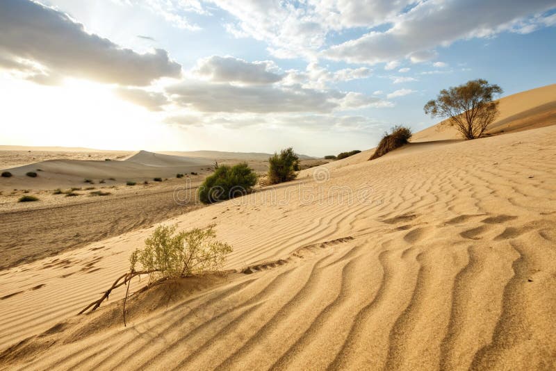 Desert Sand Surface â€ Natural Desert Landscape Stock Illustration ...