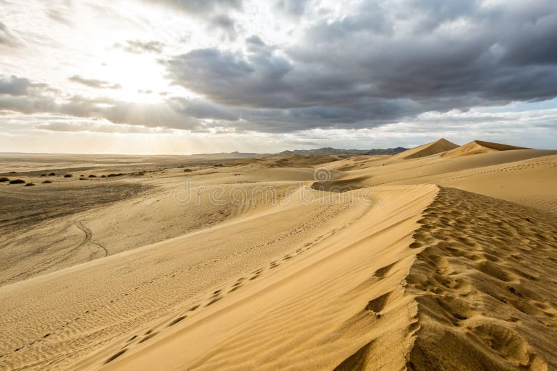 Desert Sand Surface â€ Natural Desert Landscape Stock Illustration ...