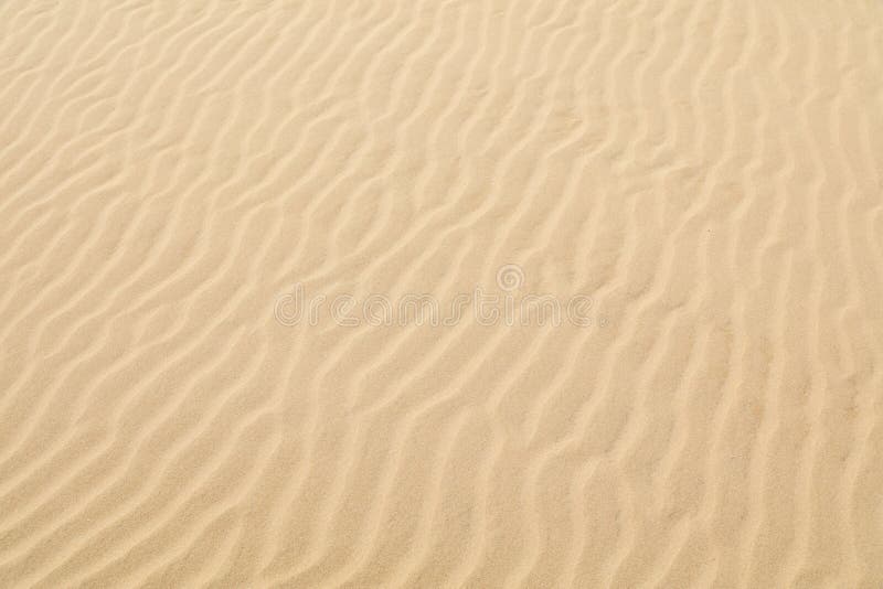 Desert Sand Texture - Wind Pattern Stock Image - Image of yellow ...