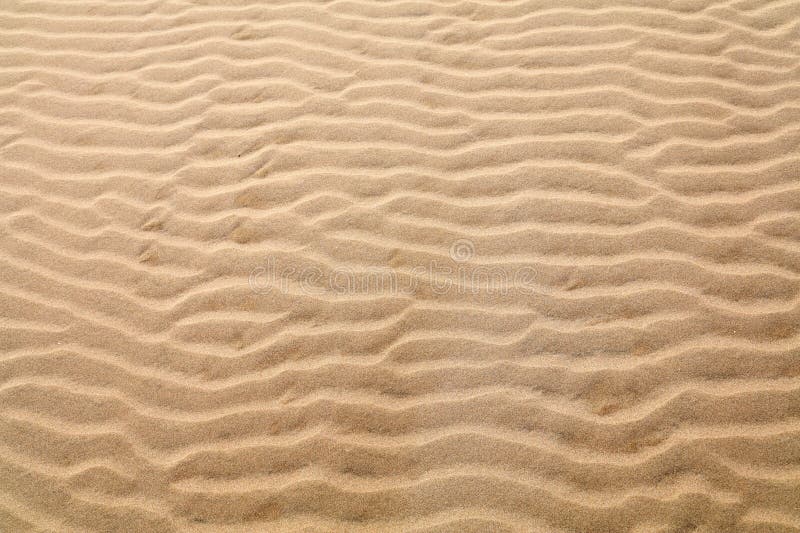 Desert Sand Texture - Wind Ripples Stock Photo - Image of yellow, wind ...