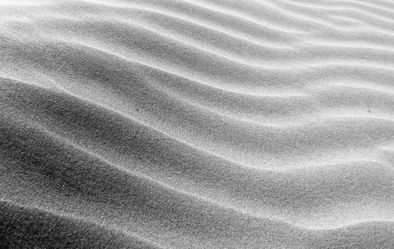 Desert sand waves stock image. Image of africa, savanna - 67427573
