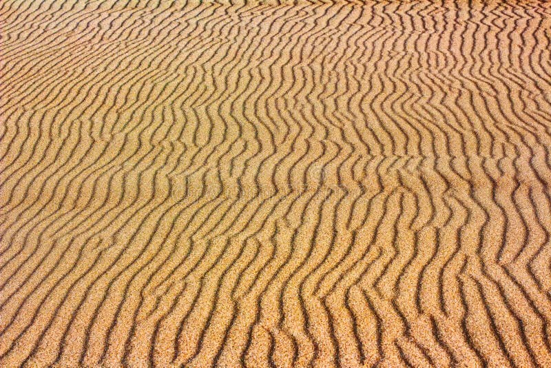 Desert sand waves stock photo. Image of nature, dune - 186066428
