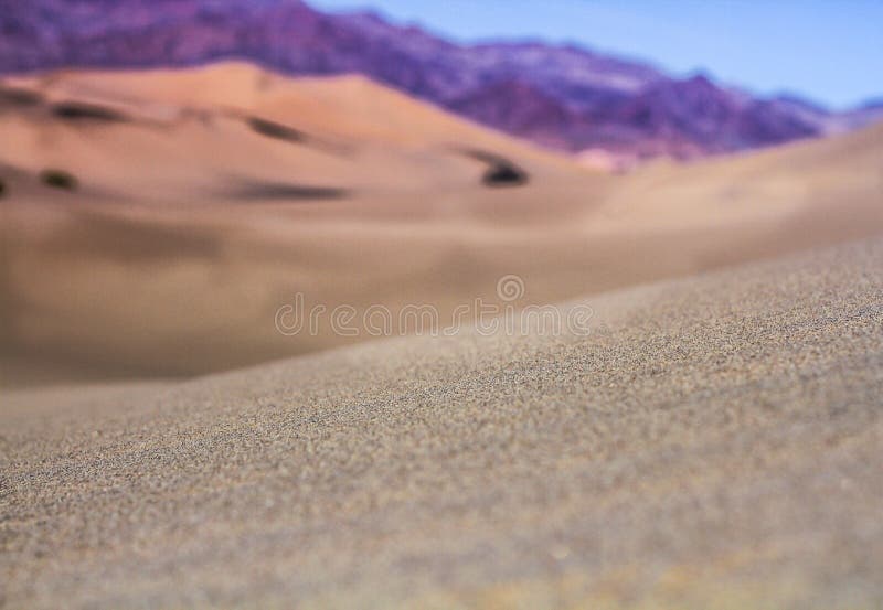 Desert Sands Close Up stock photo. Image of close, dunes - 81858442