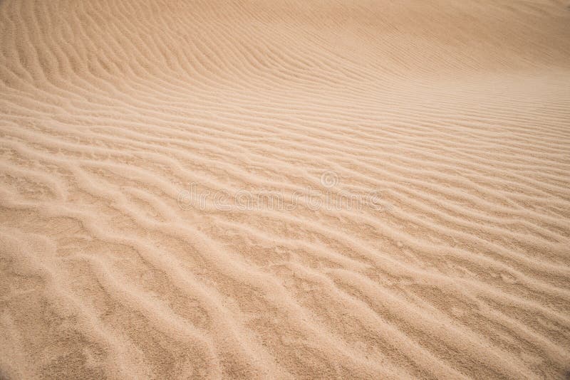 205 Australian Desert Sand Structure Stock Photos - Free & Royalty-Free ...