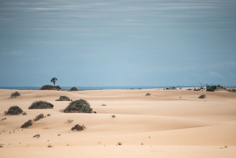 205 Australian Desert Sand Structure Stock Photos - Free & Royalty-Free ...