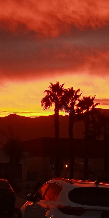 Desert Scapes stock photo. Image of trees, sunset, mountains - 145568206