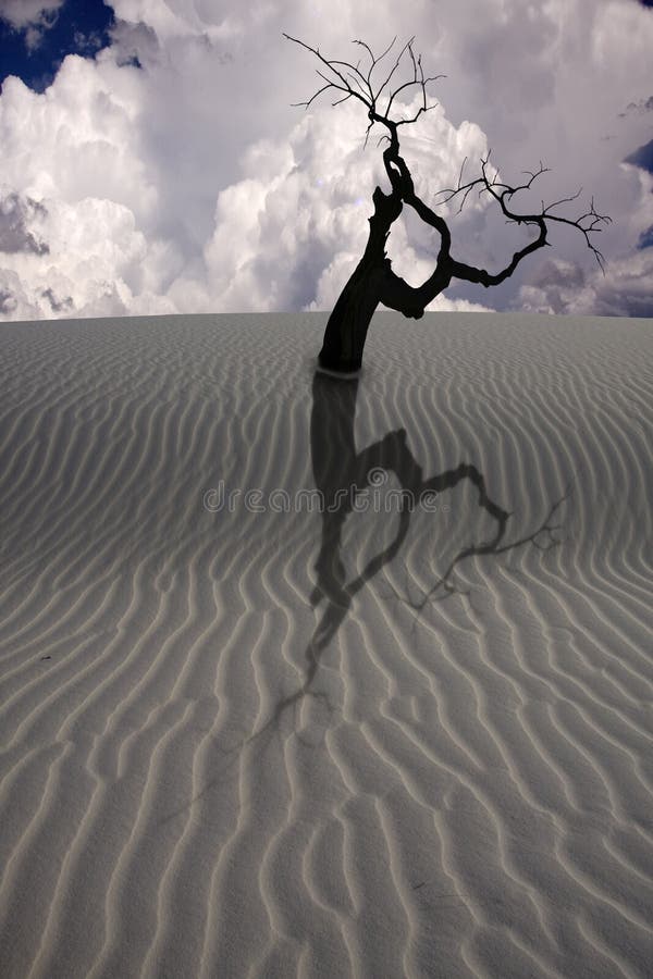 Desert Scene stock photo. Image of arid, desert, natural - 12695466