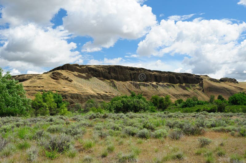 Desert scene stock photo. Image of trail, winding, desert - 16918346
