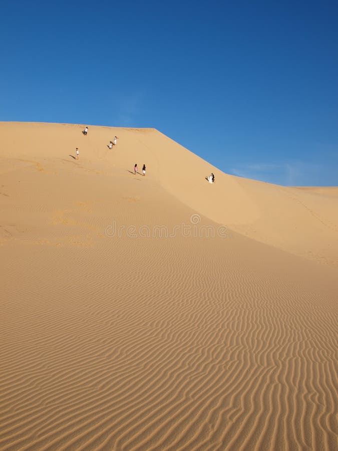Desert scene stock photo. Image of exhausted, brown, desolate - 7593280