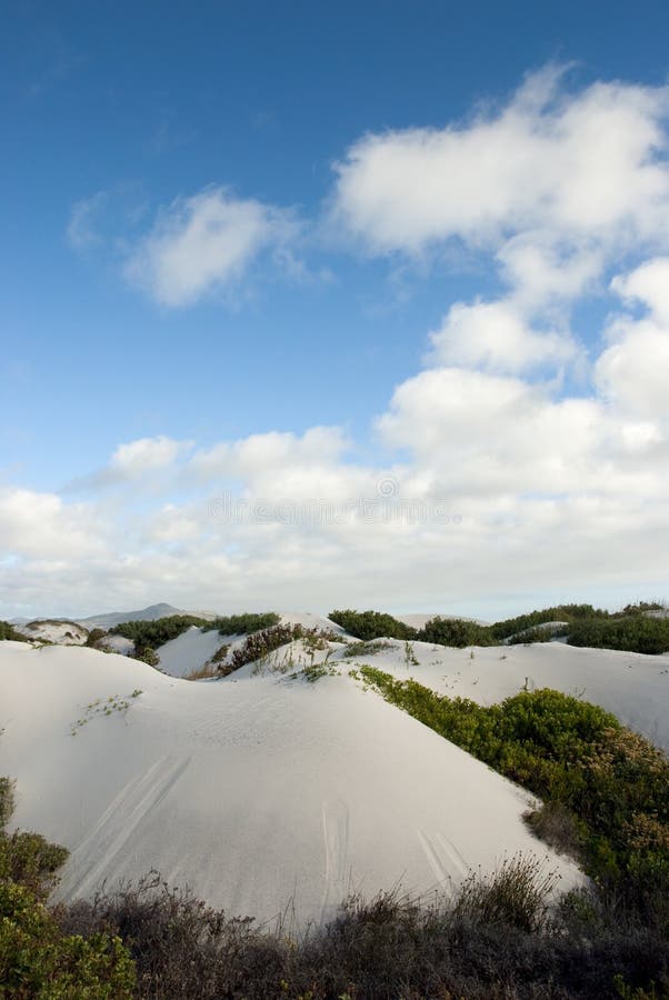 Desert Scene with Blue Skies Overhead Stock Image - Image of desert ...