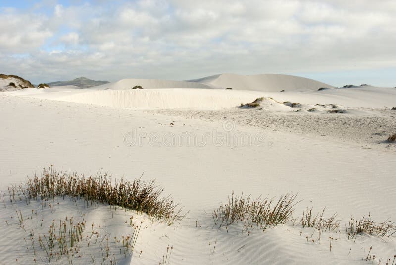 Desert Scene with Blue Skies Overhead Stock Photo - Image of orange ...