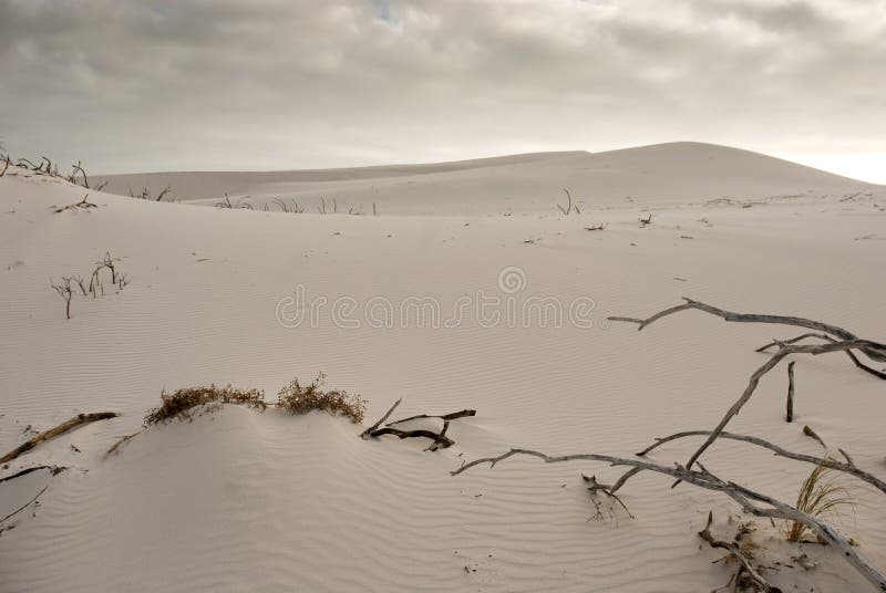 Desert Scene with Blue Skies Overhead Stock Photo - Image of dune ...