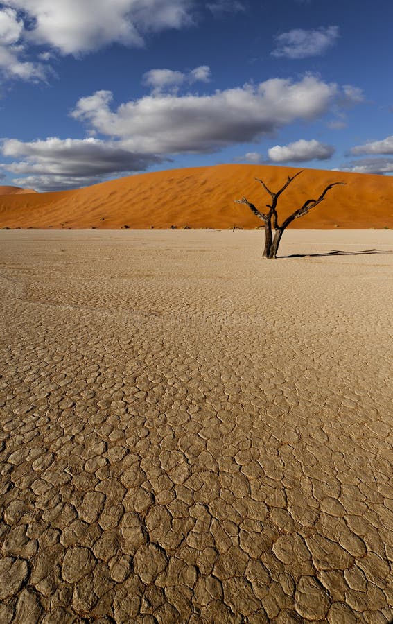 Desert scene stock image. Image of mountains, namibian - 42846167