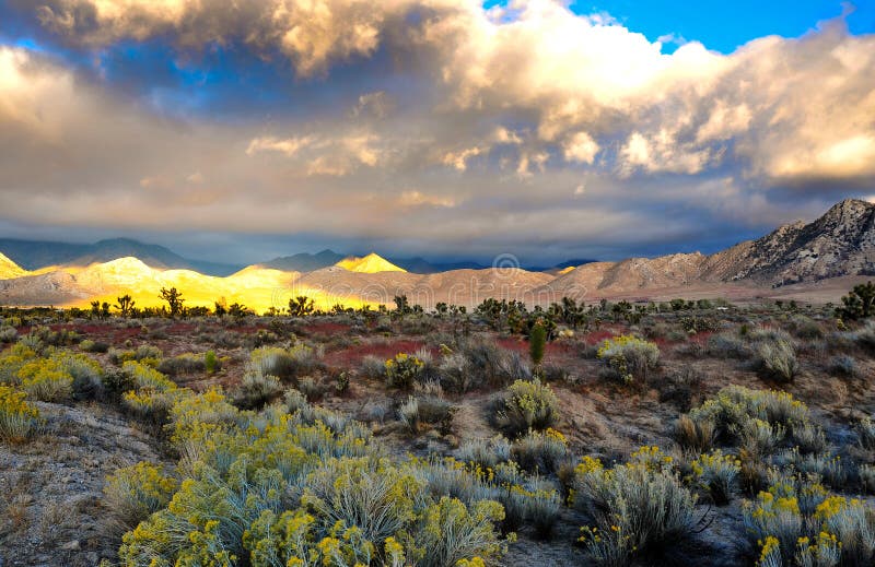 Desert Scene in Fall stock photo. Image of fall, granite - 7483088