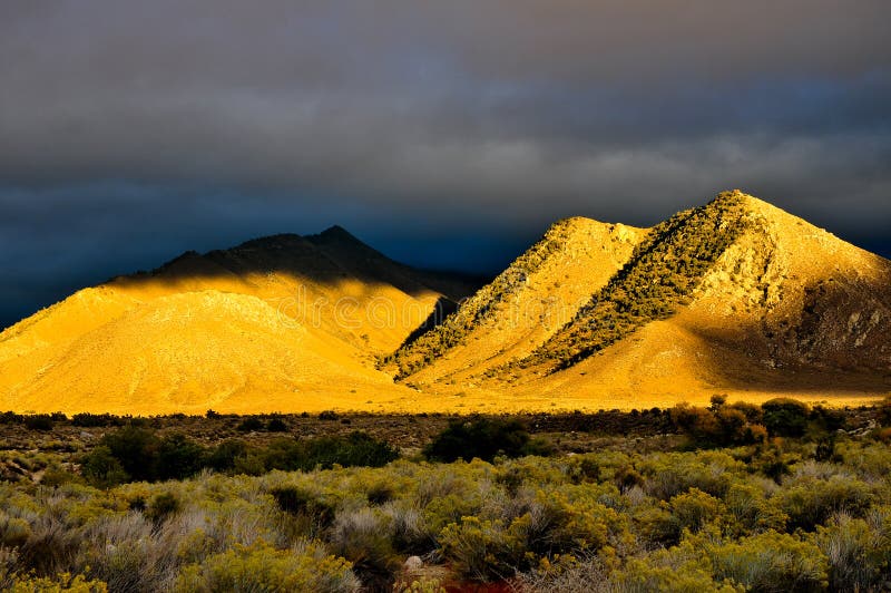 Desert Scene in Fall stock image. Image of colors, ecology - 7483105