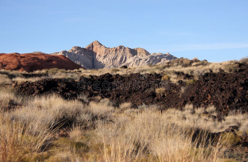 Desert Scenery stock image. Image of nature, preserve - 7648797