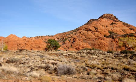 Desert Scenery stock image. Image of nature, preserve - 7648797