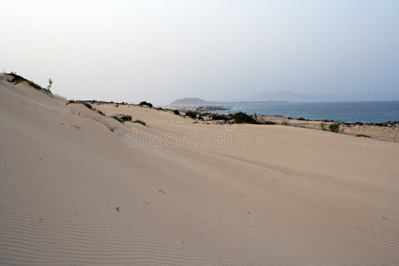 Desert and sea stock photo. Image of ocean, canary, sand - 16148574