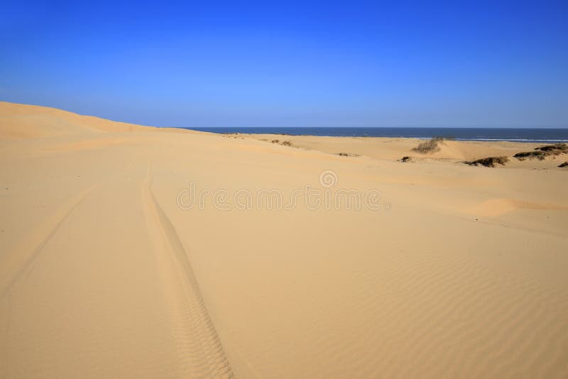 The desert by the sea stock image. Image of dune, hill - 121452431