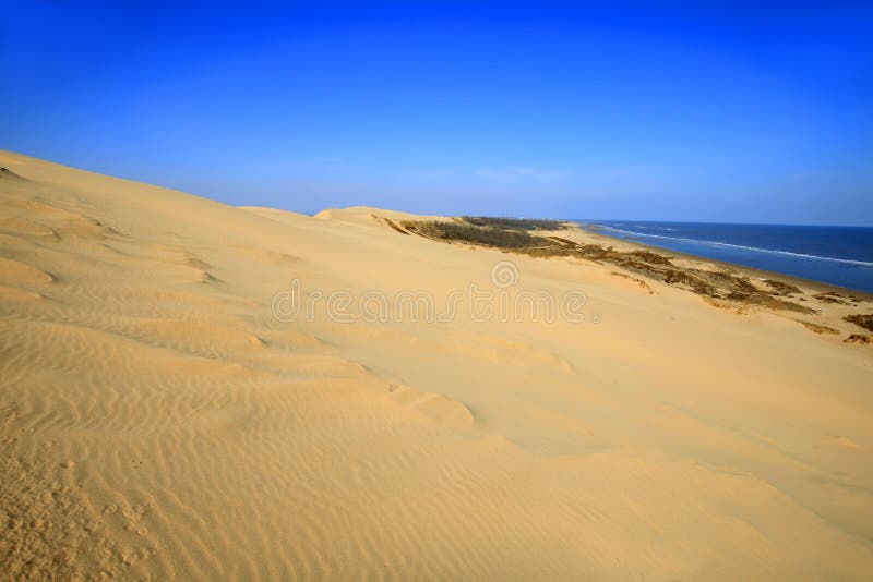 The desert by the sea stock image. Image of environment - 121452573