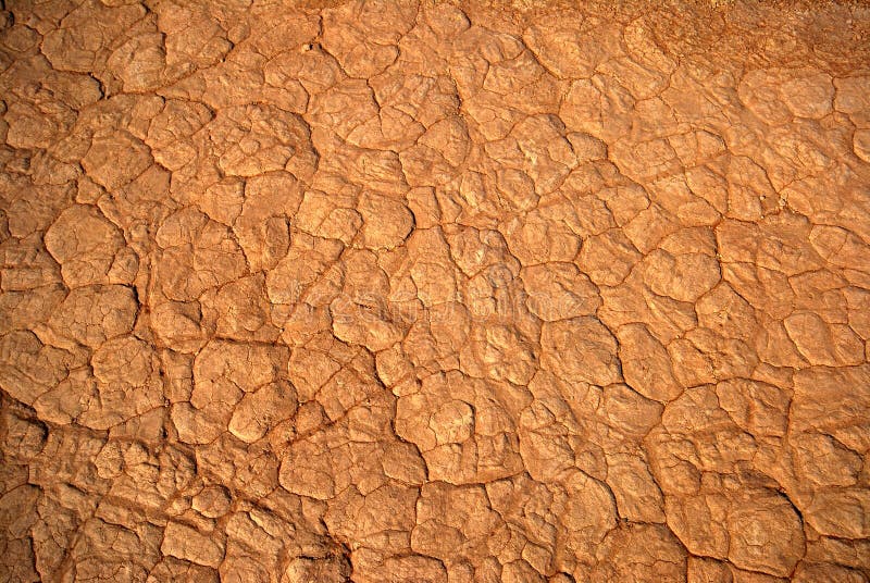 Desert skin stock image. Image of piece, travelling, brown - 7135779