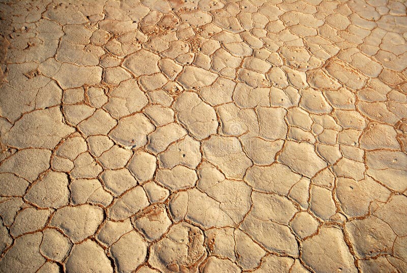 Desert skin stock photo. Image of narrow, mosaic, small - 7136196
