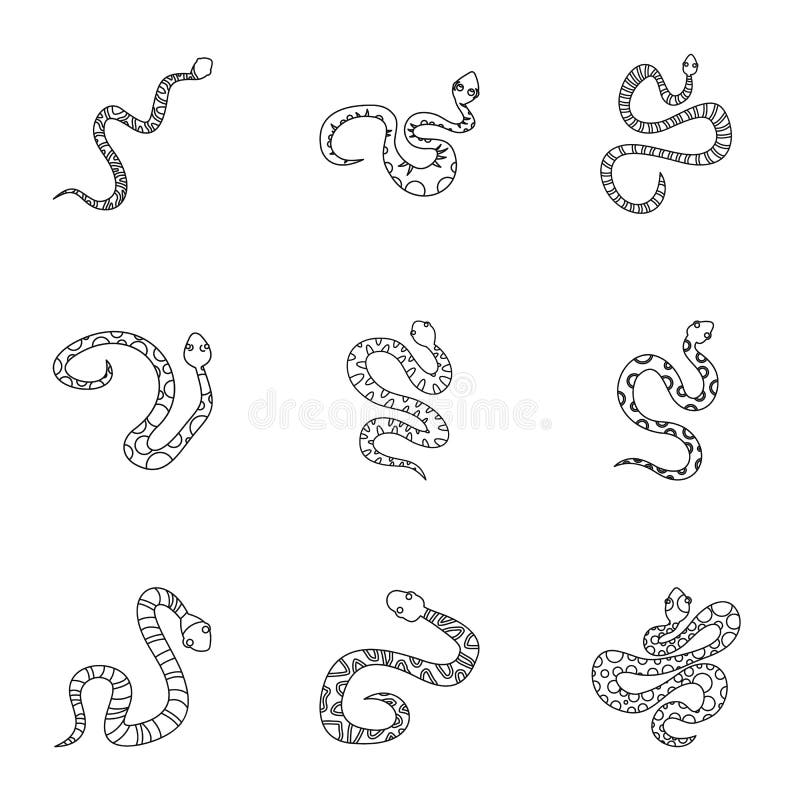 Desert Rattlesnake Drawing