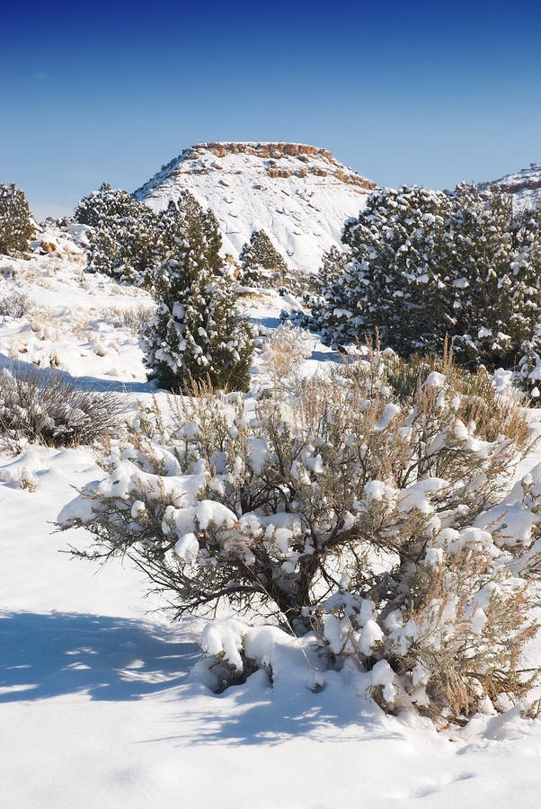 Desert Snow stock image. Image of western, colorado, blue - 3855045
