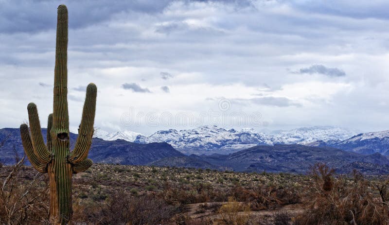 Desert Snowscape stock photo. Image of hill, landscape - 208672708