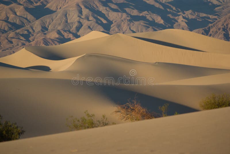 Desert of solitude stock image. Image of nomadic, saharan - 2993387