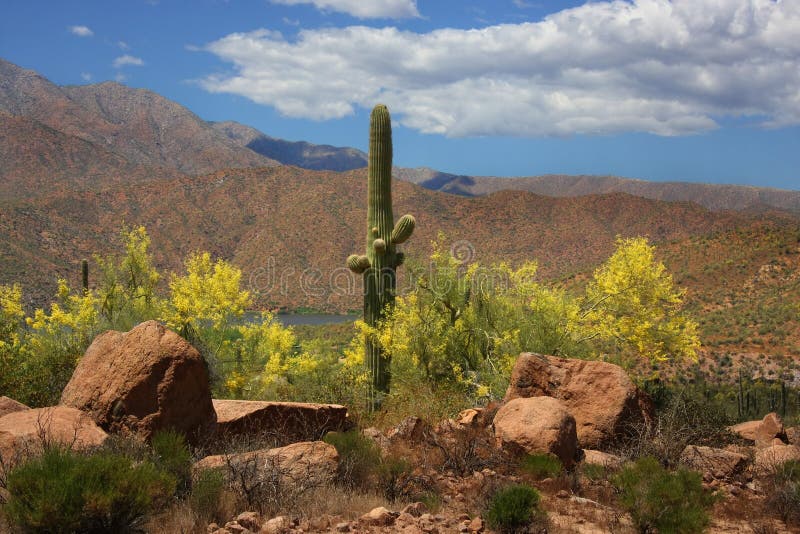 Desert stock photo. Image of cliff, mountain, arid, abandon - 1111286