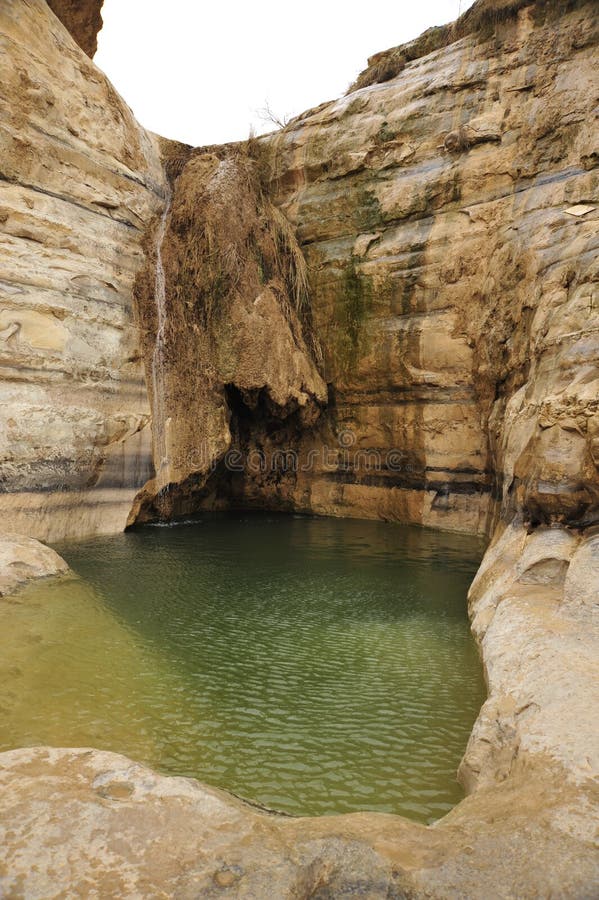 Desert spring in Negev. stock image. Image of river, rock - 15022137