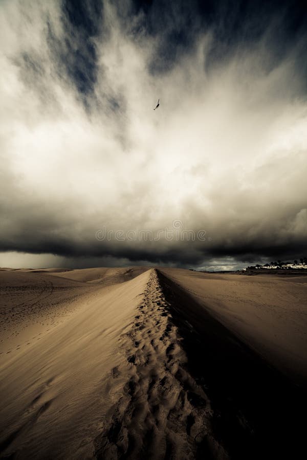 Desert Storm stock image. Image of africa, majestic, environment - 12801455