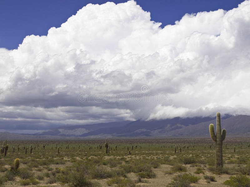 Clouds Building in the Arizona Desert Stock Photo - Image of flood ...