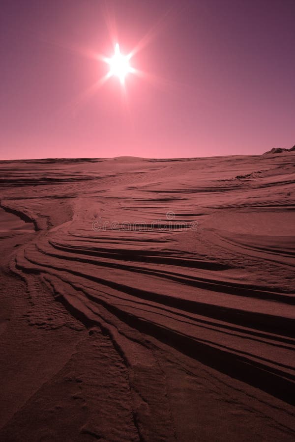 Desert Sun stock image. Image of golden, ripple, gold - 7951915