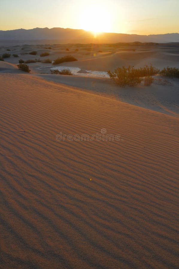 Desert Sunrise stock photo. Image of dawn, quiet, death - 11781502