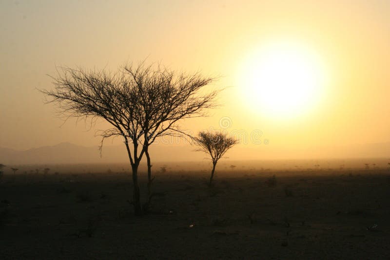 Desert sunrise stock image. Image of desert, silhouette - 5040863