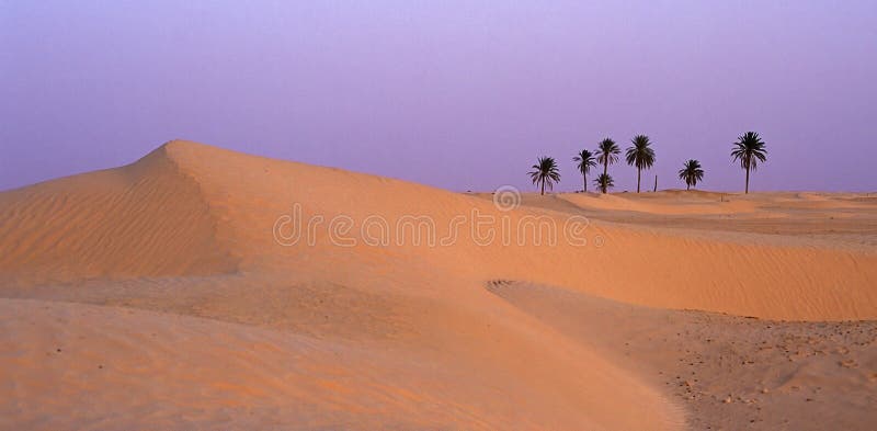 Desert sunset stock photo. Image of saharan, nature, sands - 2611512