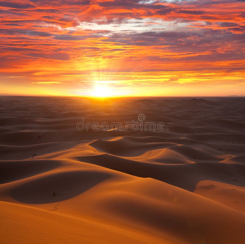 Desert on sunset stock image. Image of footprints, trail - 4321119