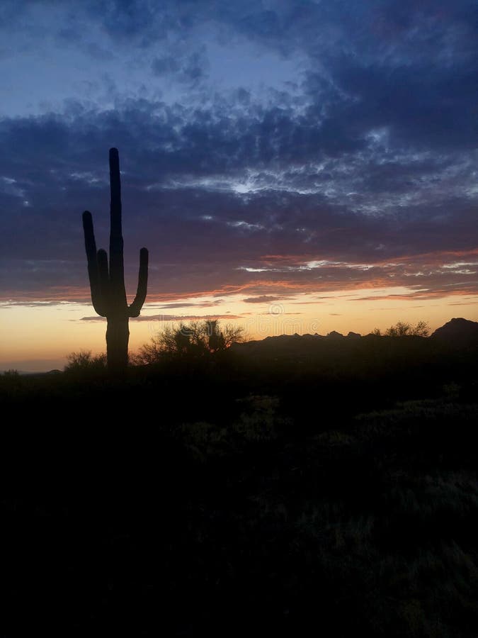 Desert Sunset stock photo. Image of lost, tucson, sunrise - 159771844