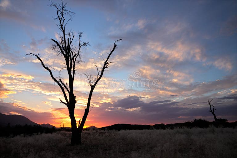 12,073 Namibia Sunset Desert Stock Photos - Free & Royalty-Free Stock ...