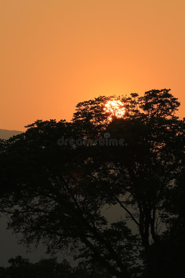 A Desert Sunset, Travel in Nature at Forrest during Sunrise Stock Image ...