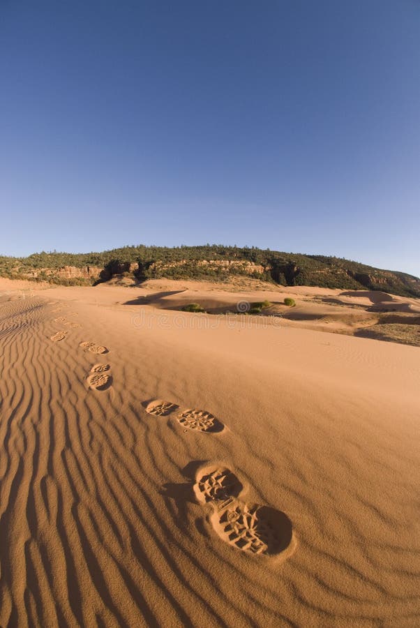 Desert Tracks stock image. Image of park, walking, states - 10710881